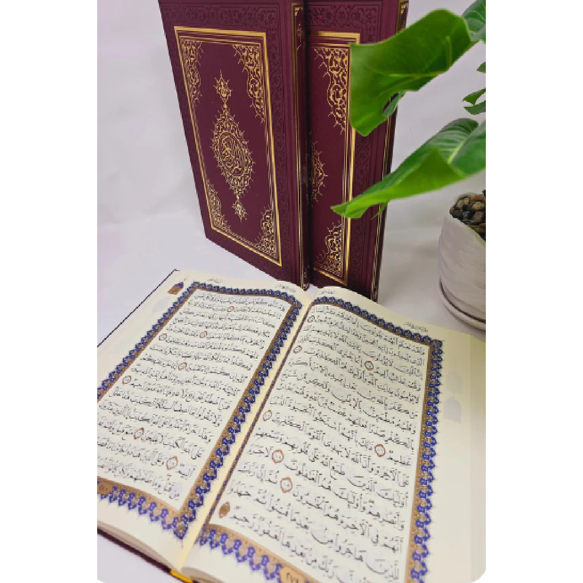 Qur'an Qatar Mushaf - Tarbiyah Books Plus